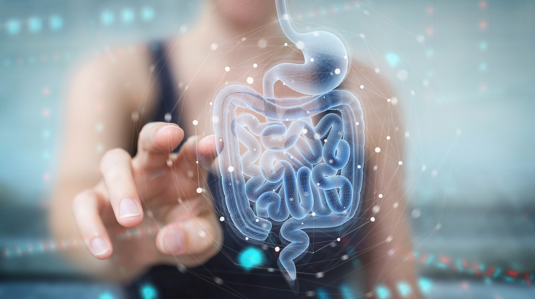 Gut Health Test | NovaLab Co